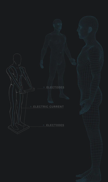 Tanita Australia | Body Composition Monitors and Scales